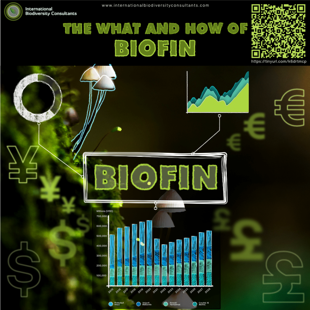 International Biodiversity Consultants Ltd – Blog – BIOFIN: what is it ...